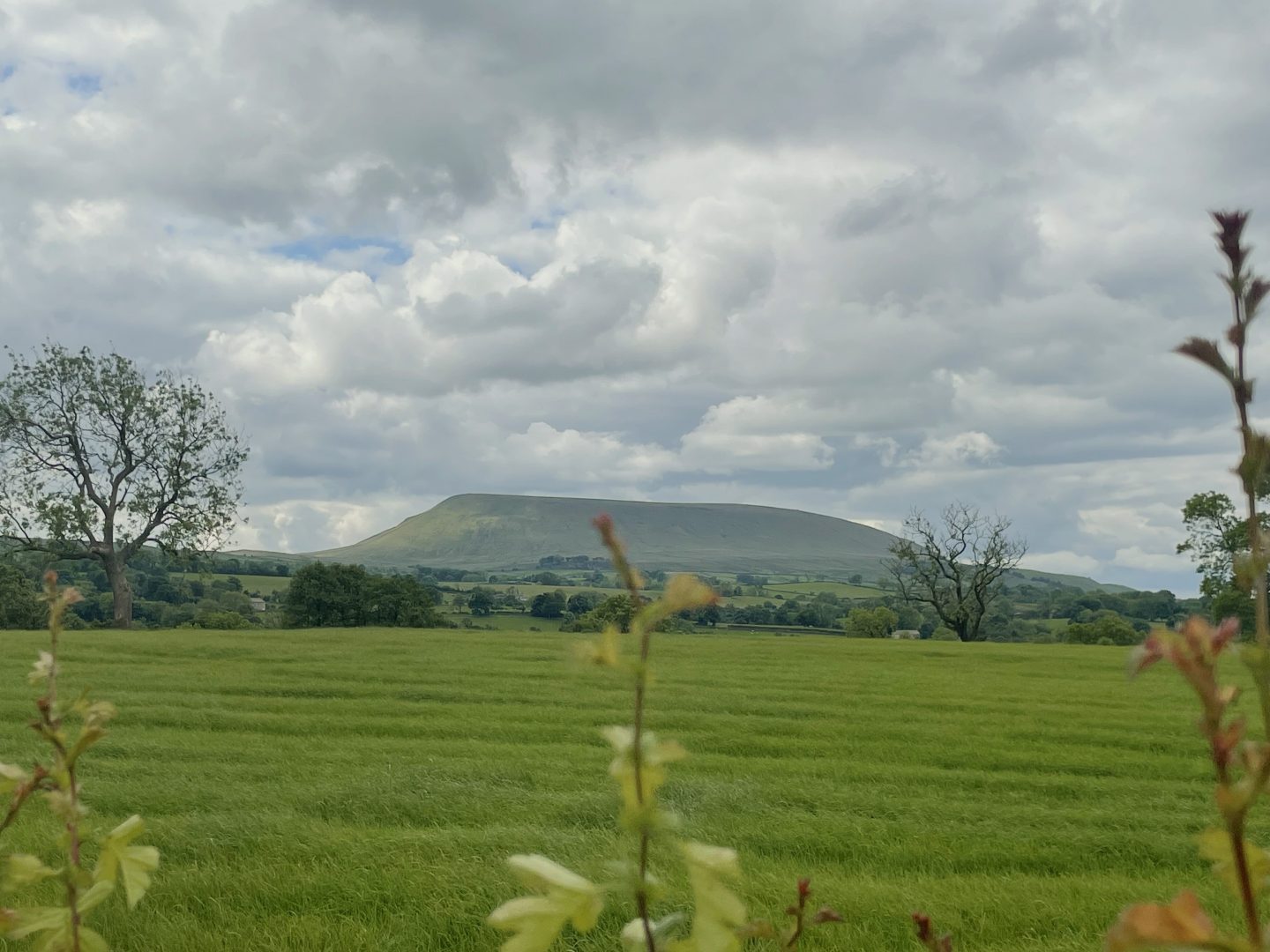 Things To Do Around Ribble Valley - Historic Market Towns | Holgates